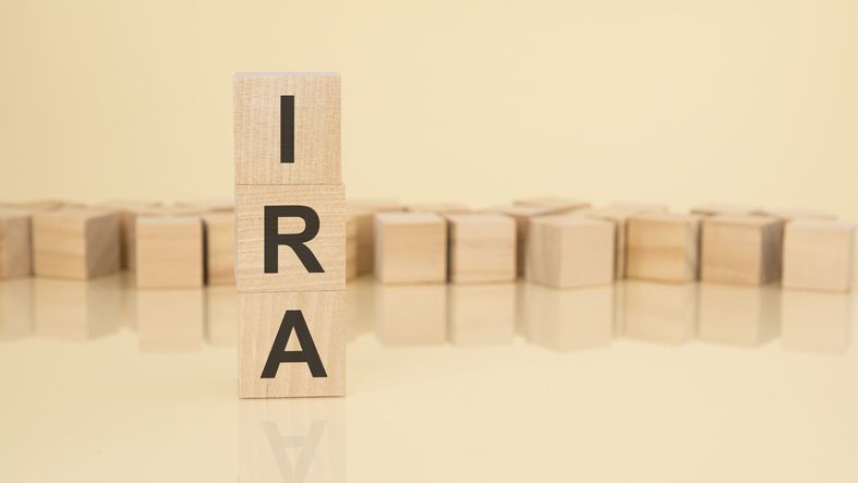 What Is a Traditional IRA? - MagnifyMoney